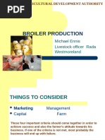 Layer Poultry Management Guide | PDF | Chicken | Poultry Farming