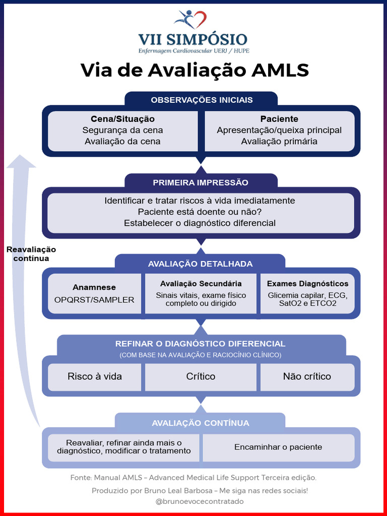 VIA DE AVALIAÇÃO AMLS - FLUXOGRAMA UERJ | PDF