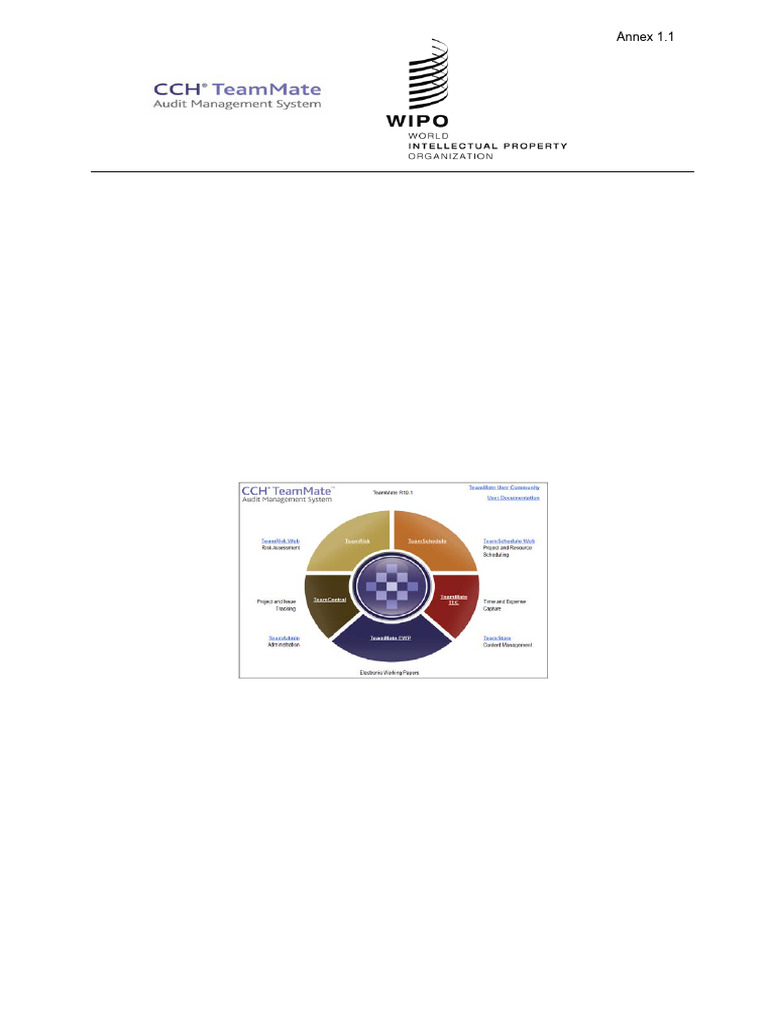 TeamMate Principles and Guidelines Guide | PDF | Audit | Computer File