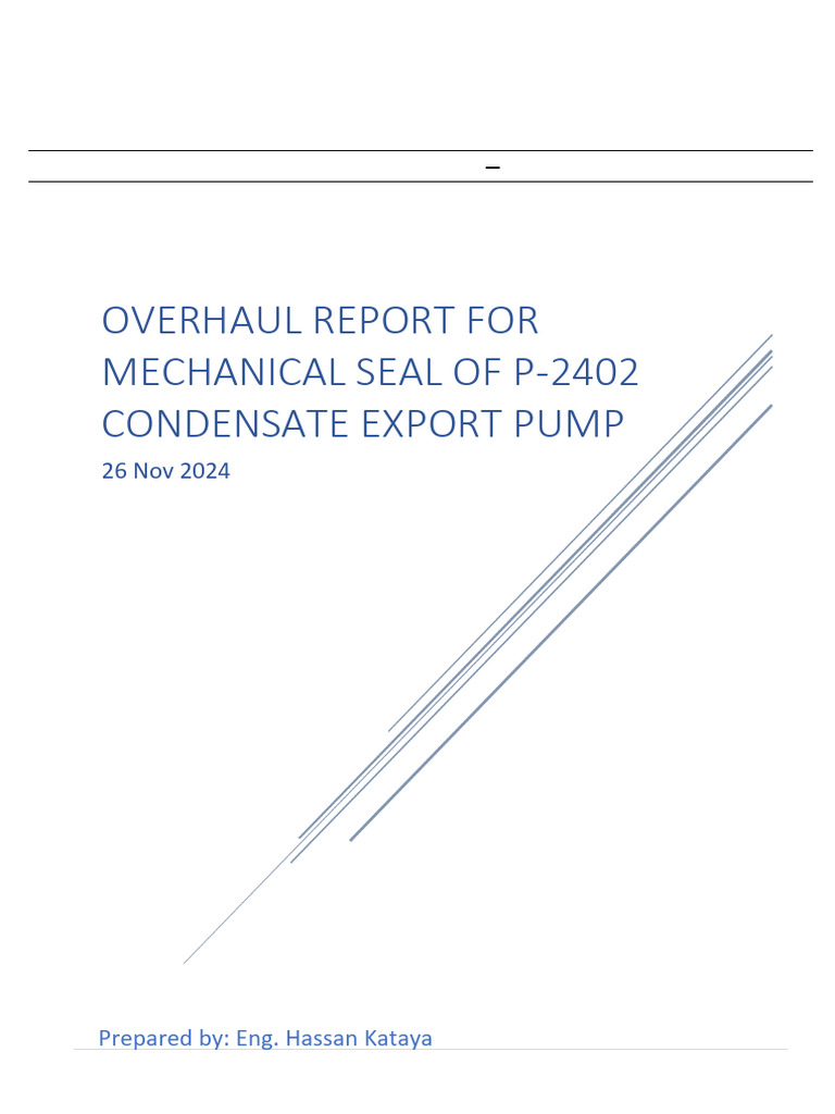 Step by Step Overhaul Report of Tandem Mechanical Seal | PDF | Pump ...