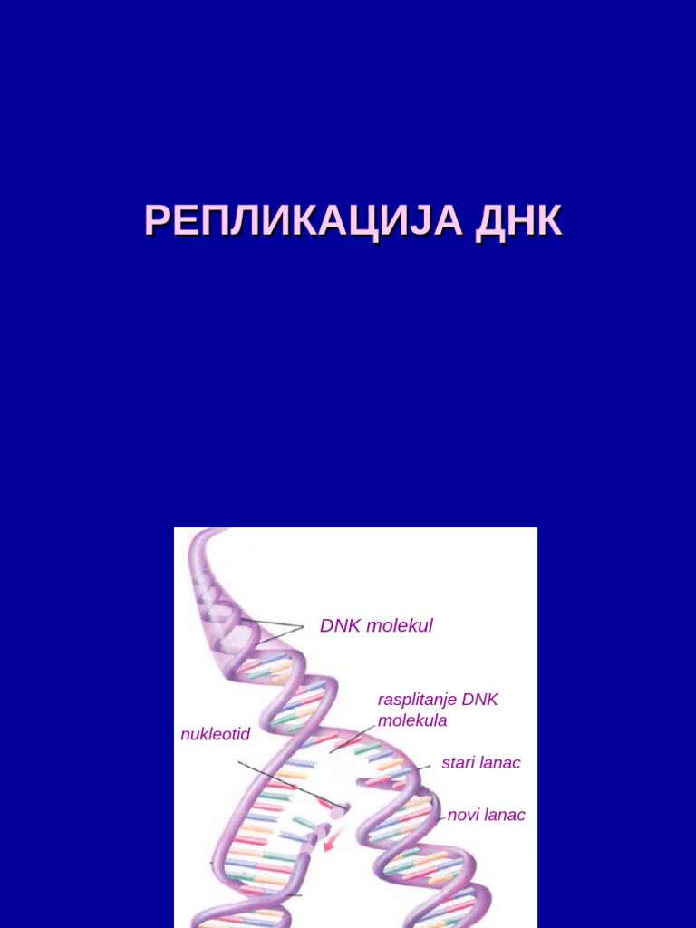 Replikacija DNK 1 | PDF