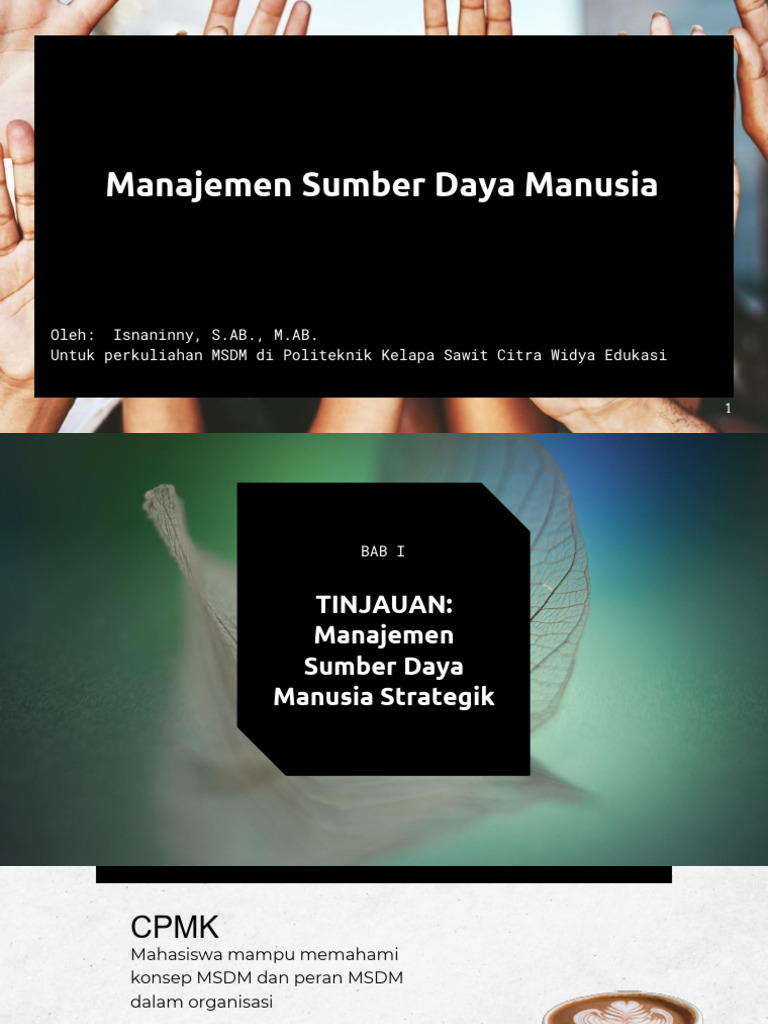 MSDM Stratejik | PDF