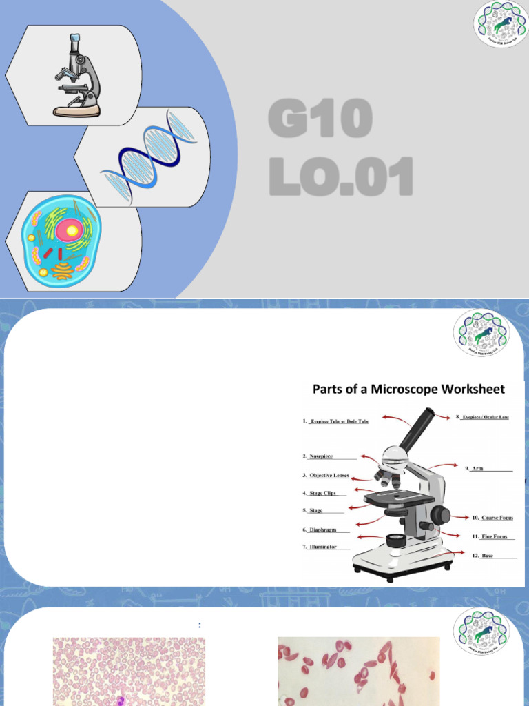 G10 Practical. (1) Bio Stem Sharkya | PDF