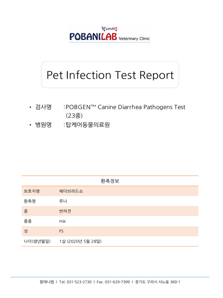 Pet Infection Test Report | PDF