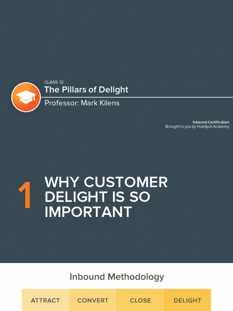 Customer Delight Essentials | PDF | Customer Experience | Communication
