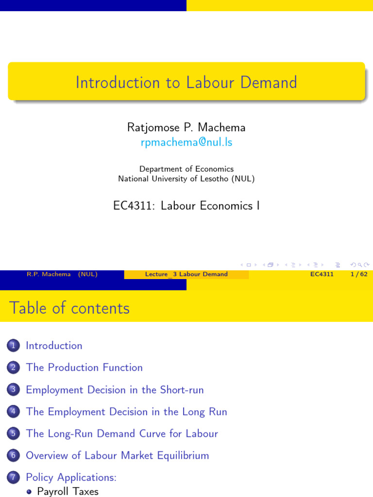 (2023) EC4311 Lecture 3 Labour Demand | PDF | Labour Economics | Long ...