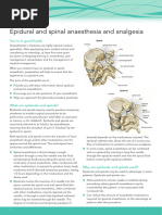 Epidural Information Card | PDF | Childbirth | Anesthesia