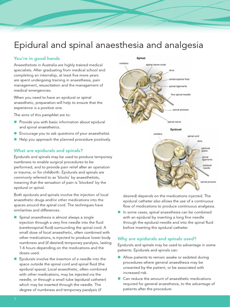 Epidural and Spinal Anaesthesia | PDF | Anesthesia | Nervous System