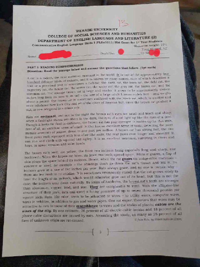 English Midterm Exam 2 (WbU) | PDF