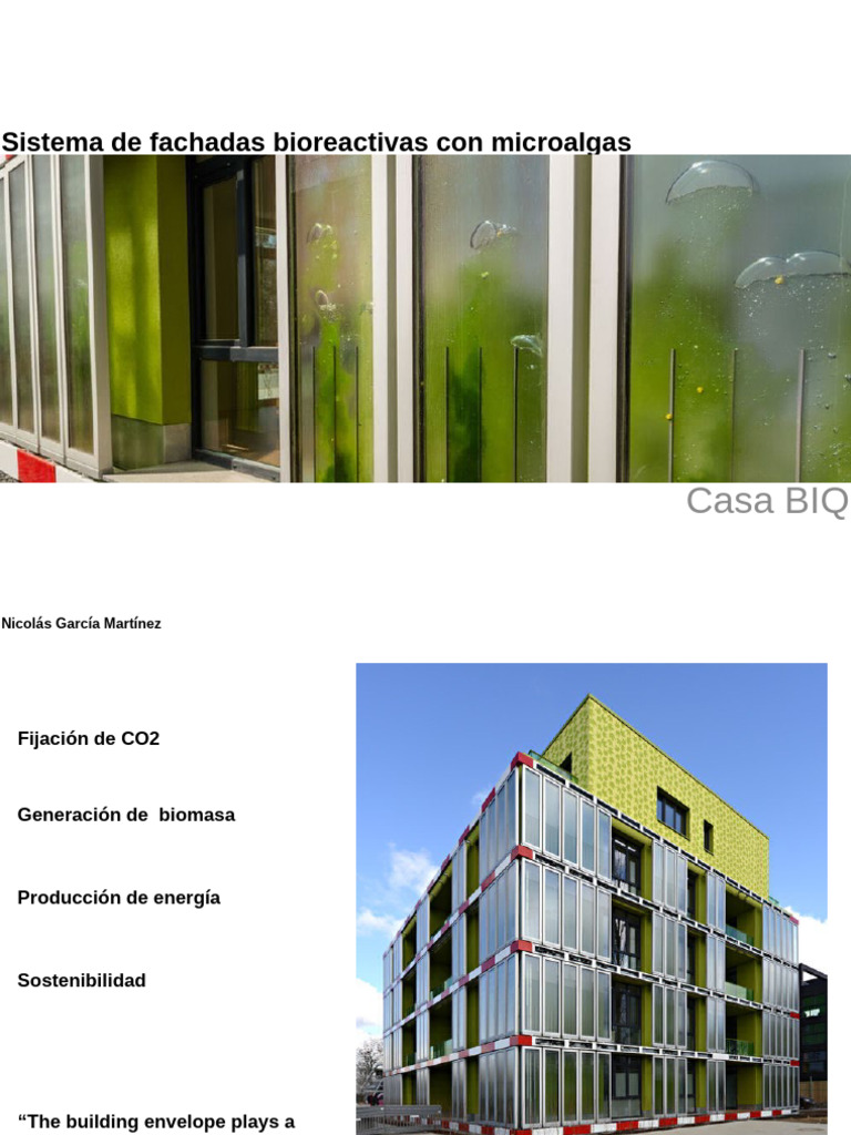 Algae_Bioreactor_System_Presentation | PDF | Biomasa | Biocombustible