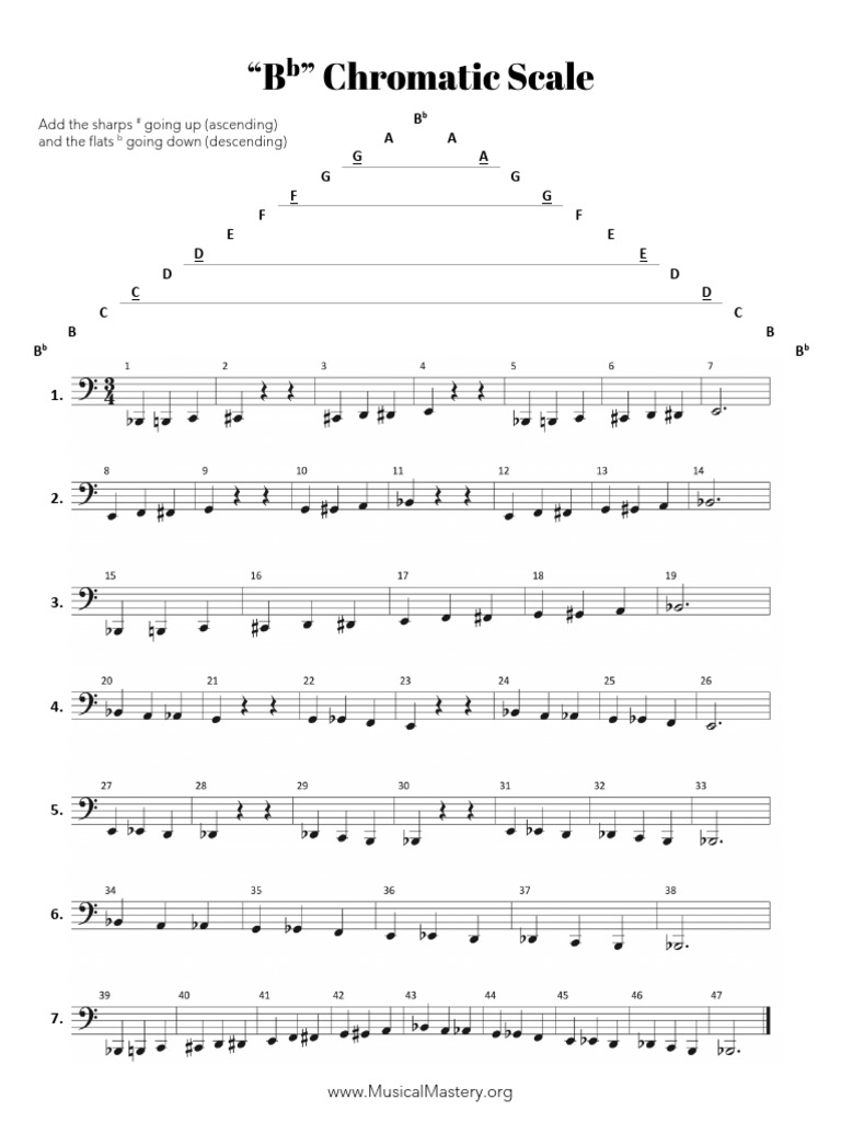 Chromatic Scale Worksheets | PDF | Music Theory | Harmony