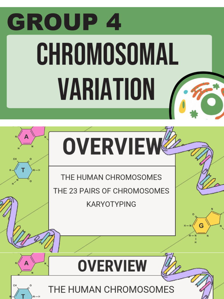 GROUP 4 CHROMOSOMAL VARIATION (Finals) | PDF | Genetics | Chromatin
