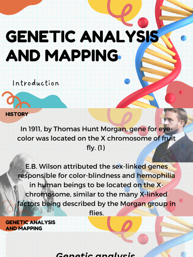Genetic Variation Education Presentation in Green Beige Style | PDF ...