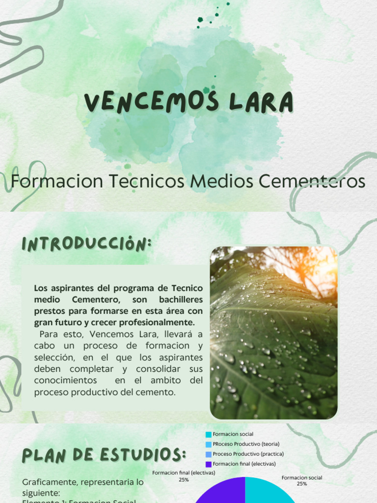 Primera Presentacion TMC | PDF | Plan de estudios