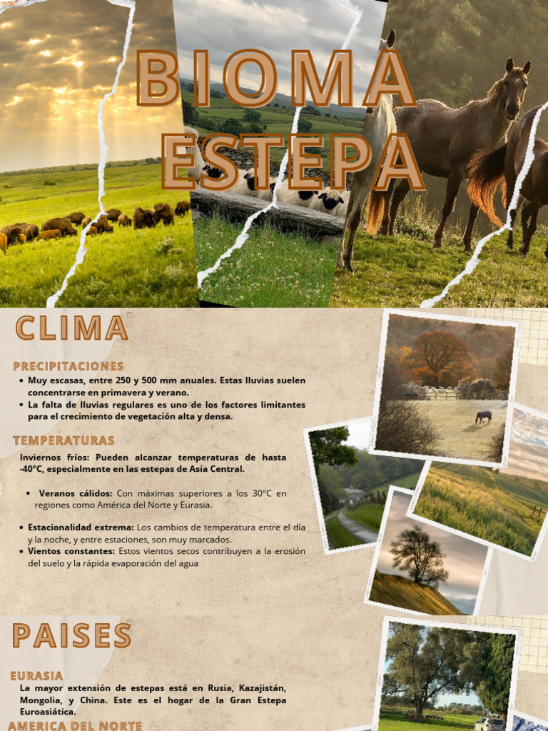 Características del Bioma Estepa | PDF | Pasto | Entorno natural