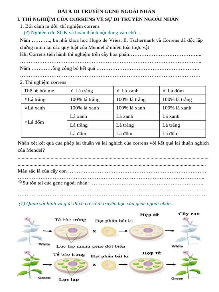 PHT Bài 9. Di truyền gene ngoài nhân CTST | PDF