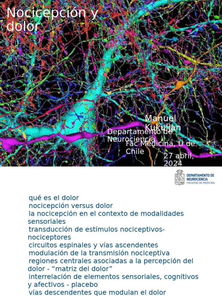 Nocicepci n y Dolor Fisiolog a I 2024 | PDF | Dolor | Sentidos
