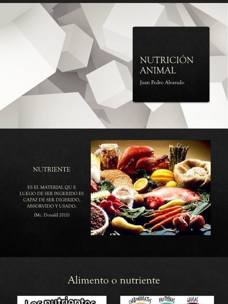 Nutrición Animal | PDF | Metabolismo | Trifosfato de adenosina