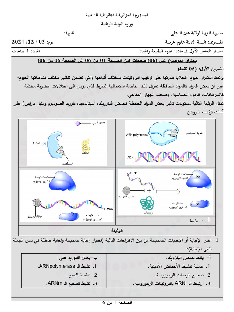Final Exam (2) | PDF