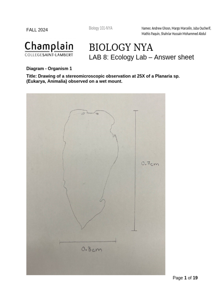 Pond Ecosystem Biology Lab Report | PDF | Food Web | Ecology
