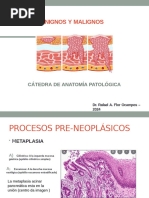 Clasificacion Histologica Internacional de Tumores | PDF | Cáncer | Neoplasias