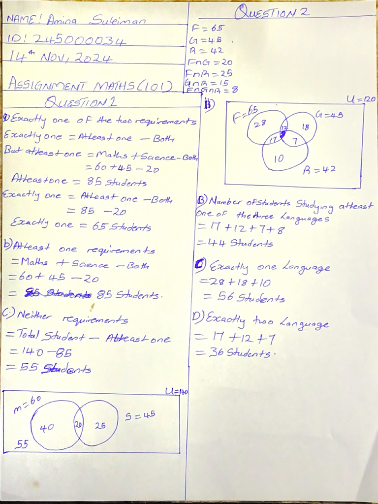 MATHS (101) Assignment Amina Suleiman 245000034 | PDF