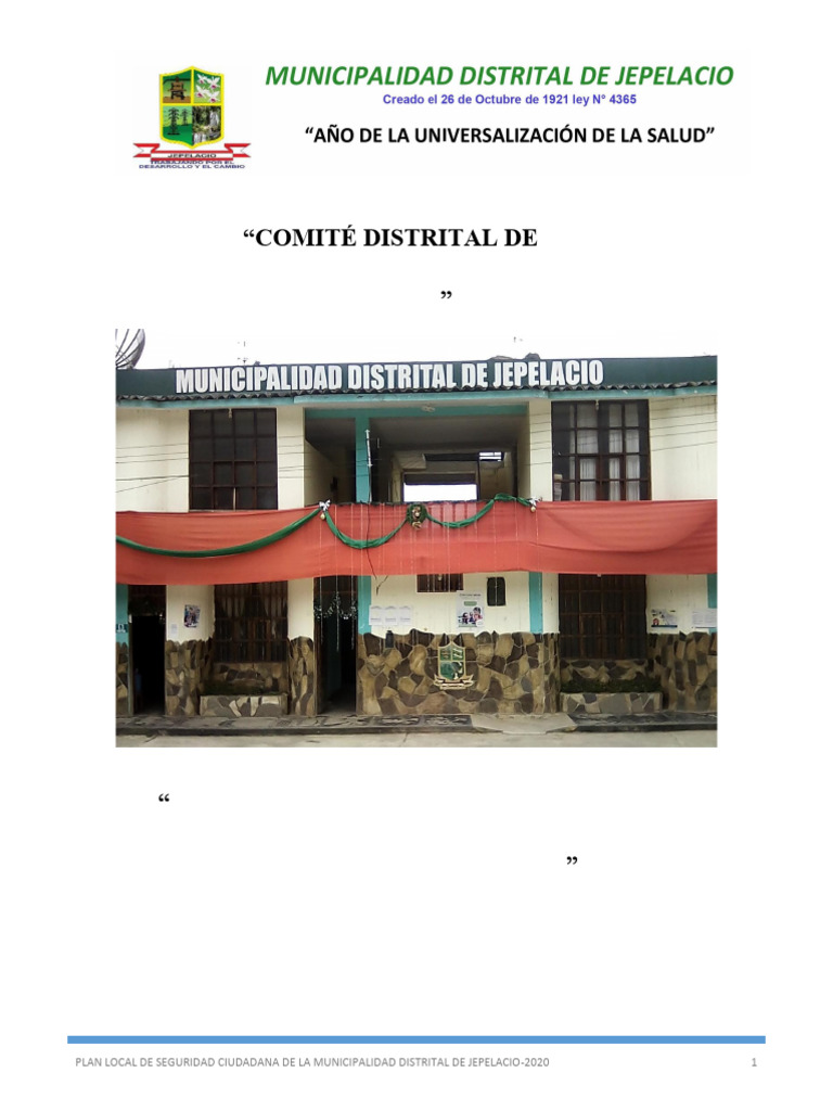 Plan Local Del Codisec Jepelacio 2020 | PDF | Valores | Violación
