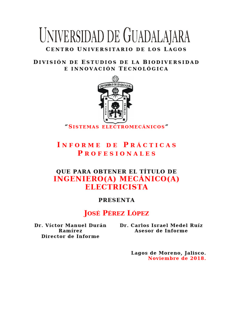 Informe de Prácticas Profesionales | PDF