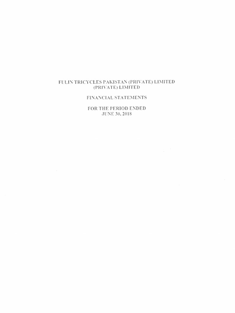 Fullin Audited Account | PDF