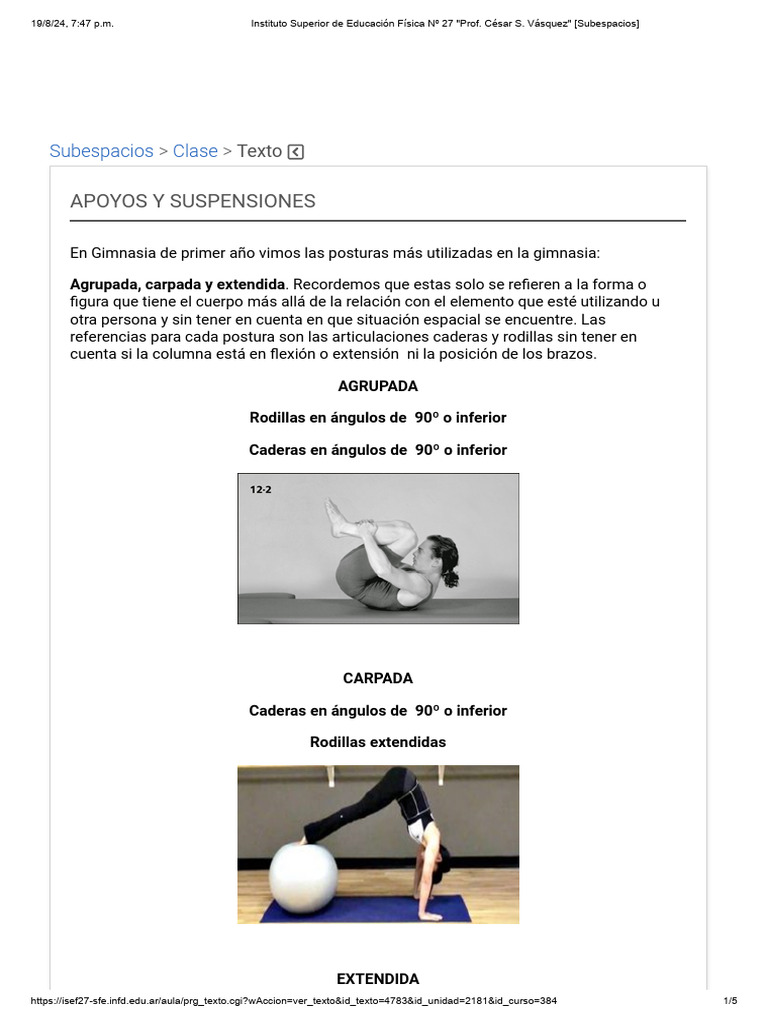 CLASE 6 | PDF