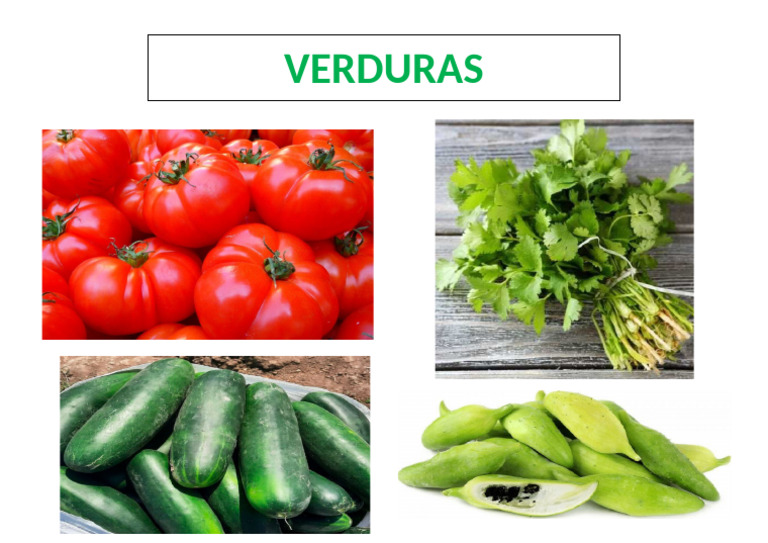 Verduras Pdf