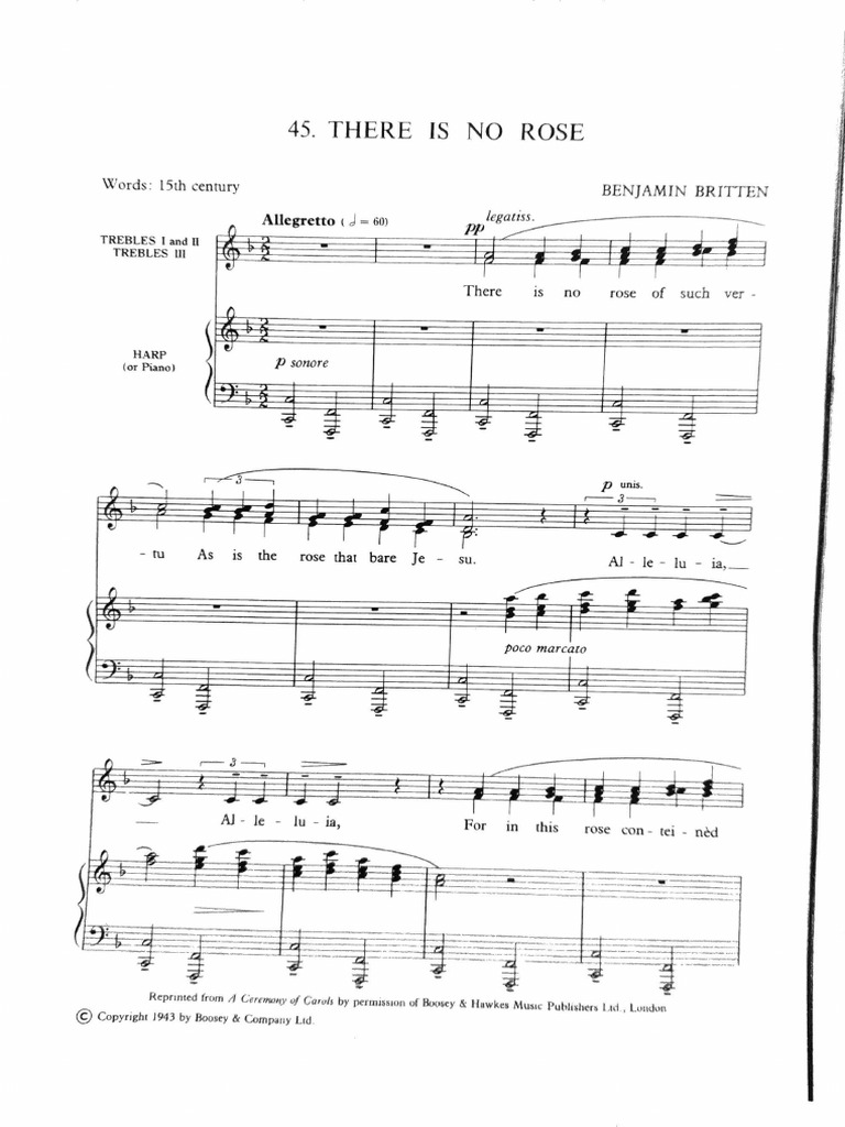 There Is No Rose Britten | PDF