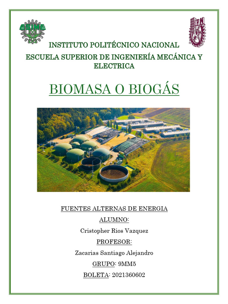 Biomasa y Biogas | PDF | Biomasa | Energía renovable