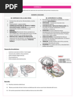 Sindromes Cerebelosos Vermiano Hemisferios Cerebelosos y Pancerebelosos ...