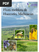 Guía de Plantas Hospederas de Mariposas - 2024 | PDF | Flores | Hoja