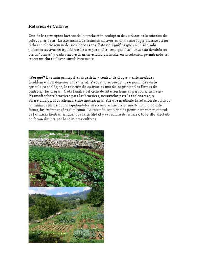 Rotación de Cultivos | PDF | Plaga (organismo) | La rotación de cultivos