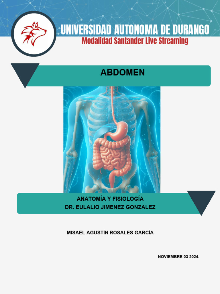 PARTES PRINCIPALES ABDOMEN | PDF | Abdomen | Pelvis