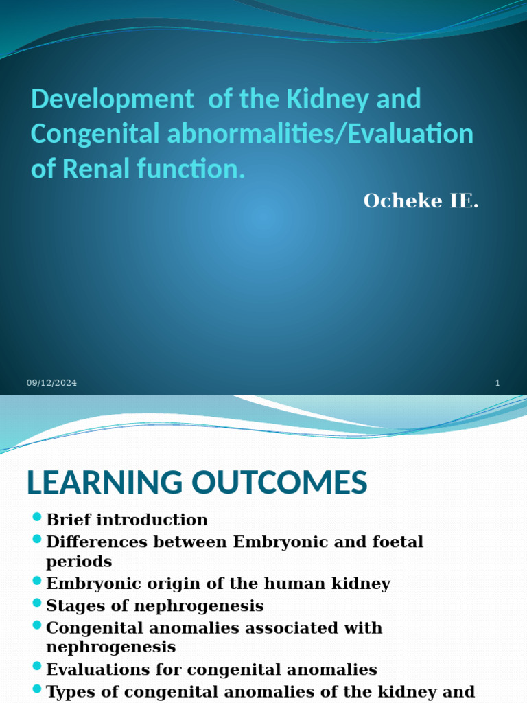 Development of The Kidney and Congenital Abnormalities DT | PDF ...