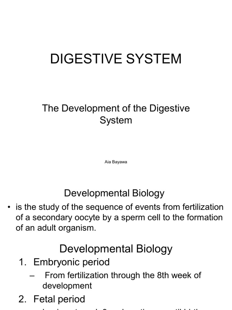 Embryology Digestive System | PDF | Home & Garden