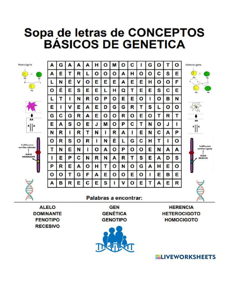 Sopa de Genetica | PDF