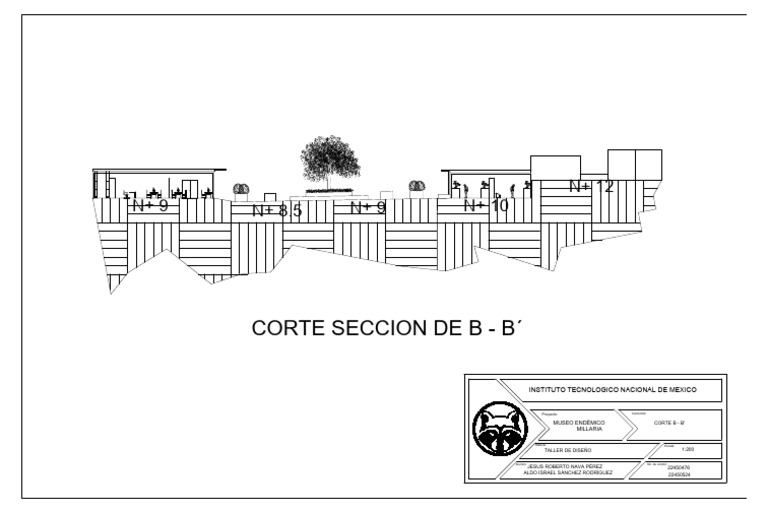 Corte Longitudinal | PDF