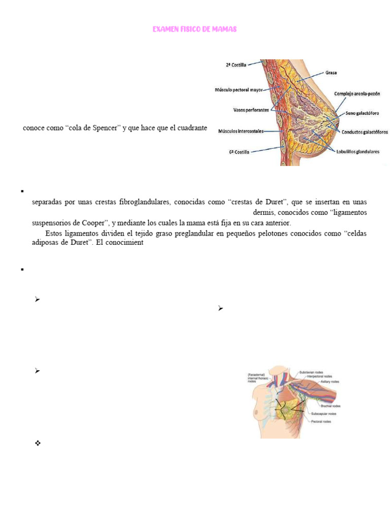 Examen Físico de Mamas: Guía Completa | PDF | Pecho | Cáncer de mama