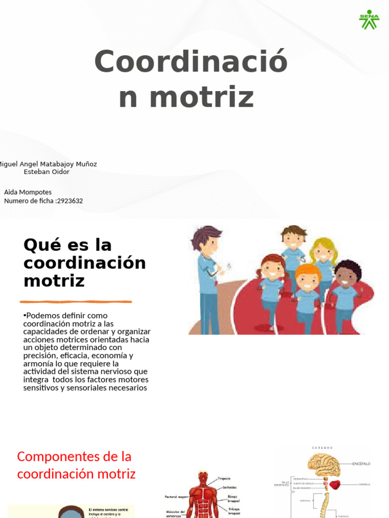 Coordinacion Motriz Miguel Matabajoy y e | PDF | Coordinación motriz ...