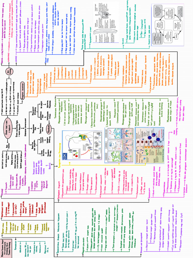 Mindmap 3 - 240618 - 014522 | PDF