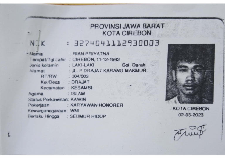 Nokoprint 241129 1117 | PDF