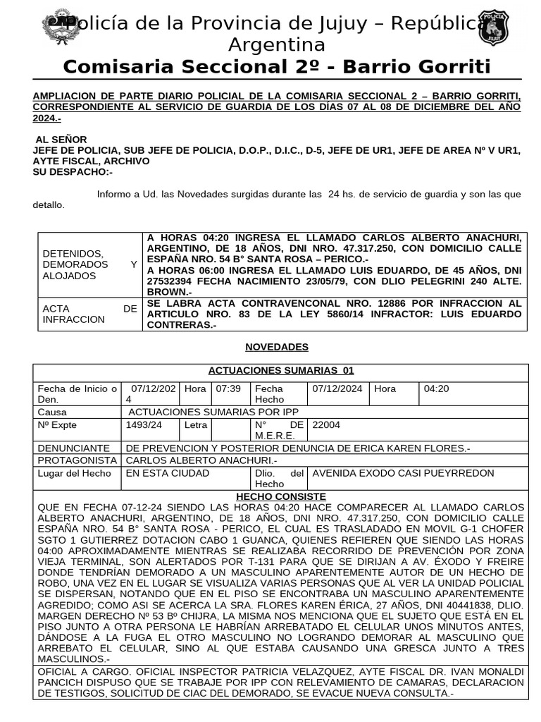 Ampliacion de Parte Diario Policial de La Cria Secc 2 Gorriti 06-12-2024 | PDF | Seguridad ...
