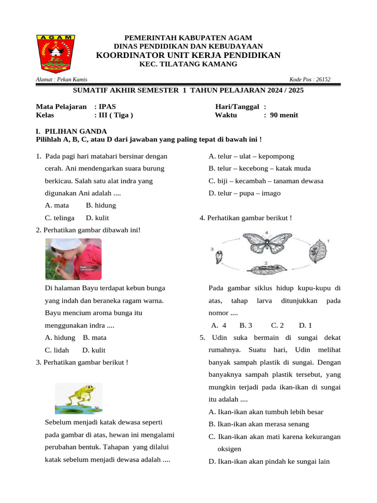 Sas Ipas 1 KLS Iii | PDF