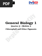 SBI4U Practice Exam Key | PDF | Cellular Respiration | Glycolysis