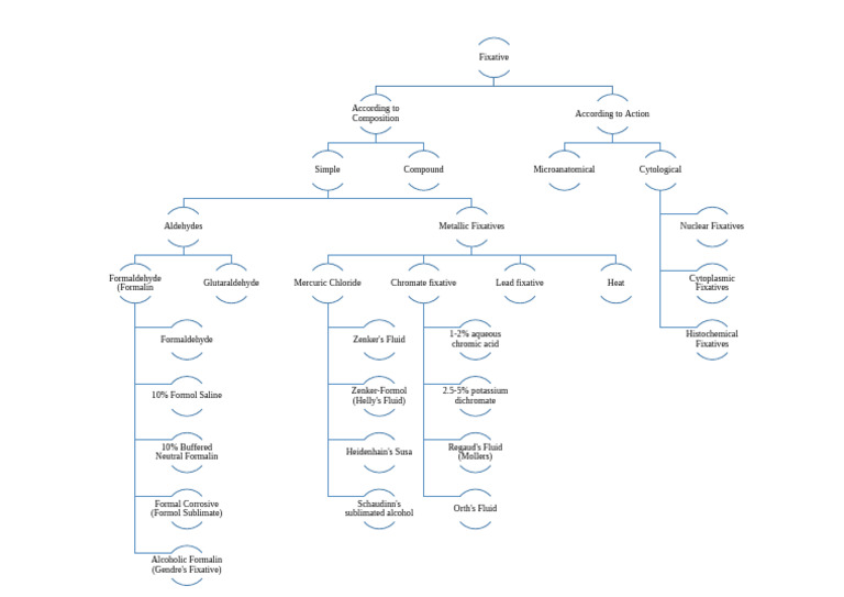 Fixatives Chart Guide | PDF