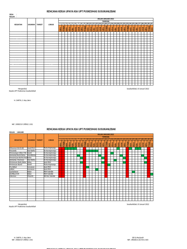 Rencana Kerja Bulanan Bidan Ummin | PDF
